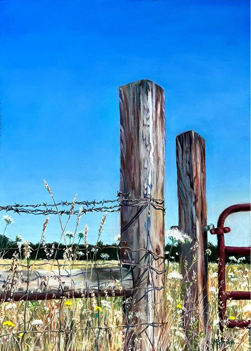 Bloom through the Barbed Wire by Michael Burdge