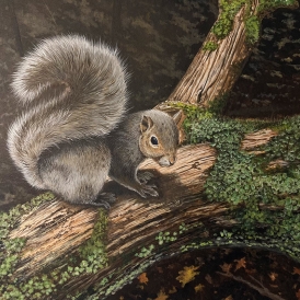 "Furry Acrobat" by Jim Kaelin