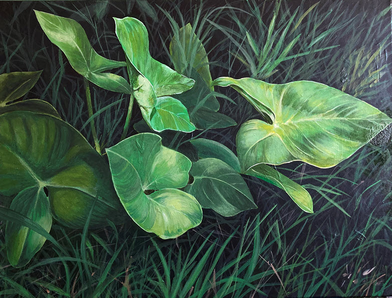 Shine and Shade by Jim Kaelin