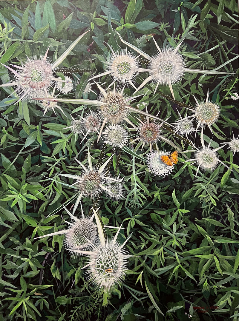 Wild Teasel, an acrylic painting by Thomas Stead
