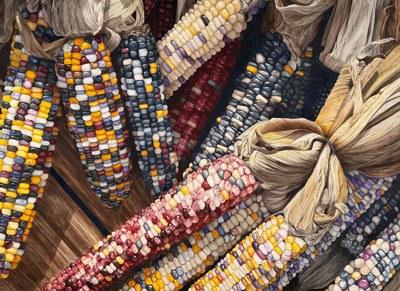 Autumn Harvest by Andrea Walker